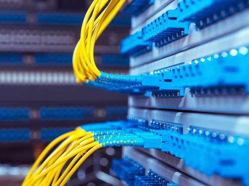 NEO Training Basic Level 1